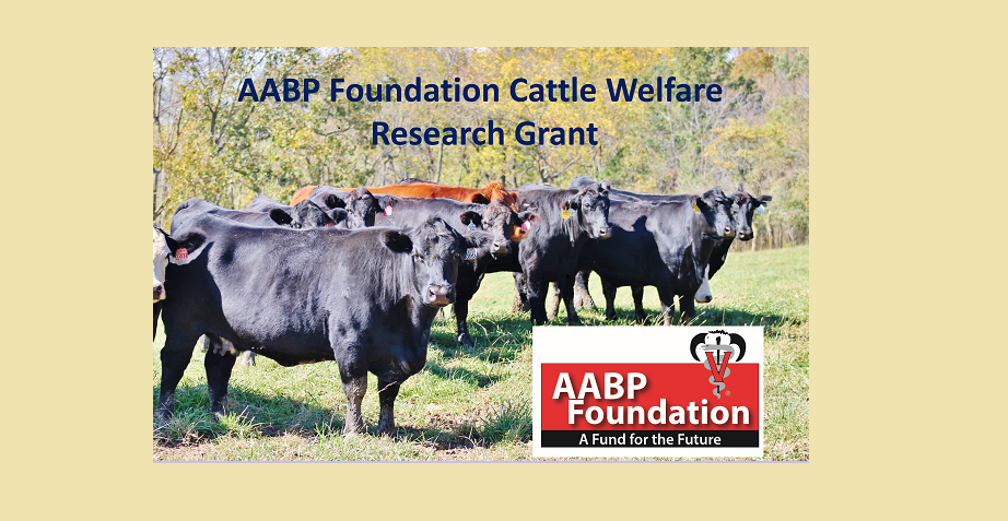American Association of Bovine Practitioners